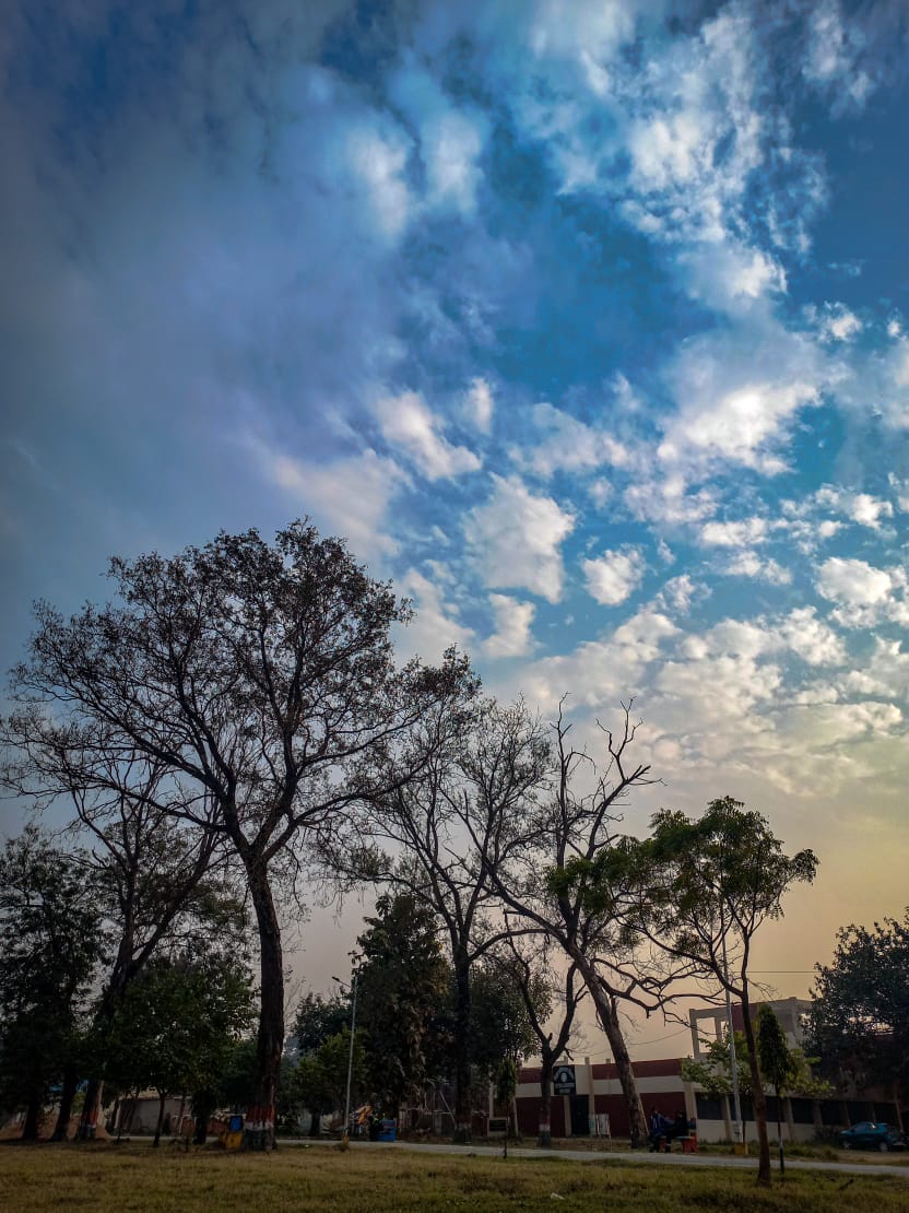 MMMUT Resources Gorakhpur